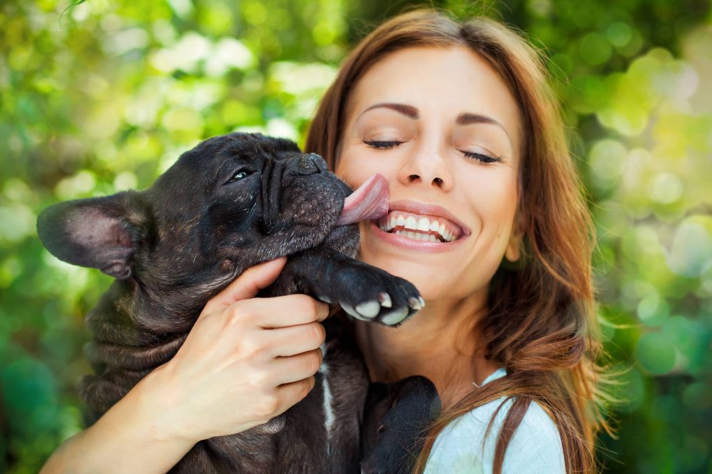 Black Dog Names Naming Your Elegant Canine Companion Dogbreedo black-dog-names-naming-your-elegant-canine-companion-dogbreedo